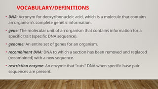 organic chemistry genetic engineering PPT.pptx