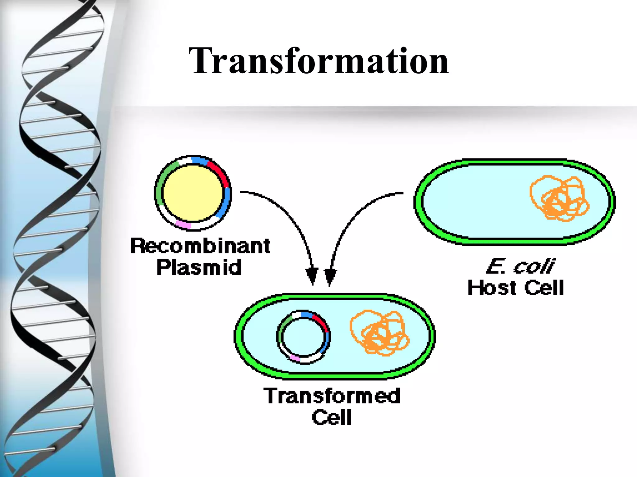Genetic engineering principle, tools, techniques, types and application ...