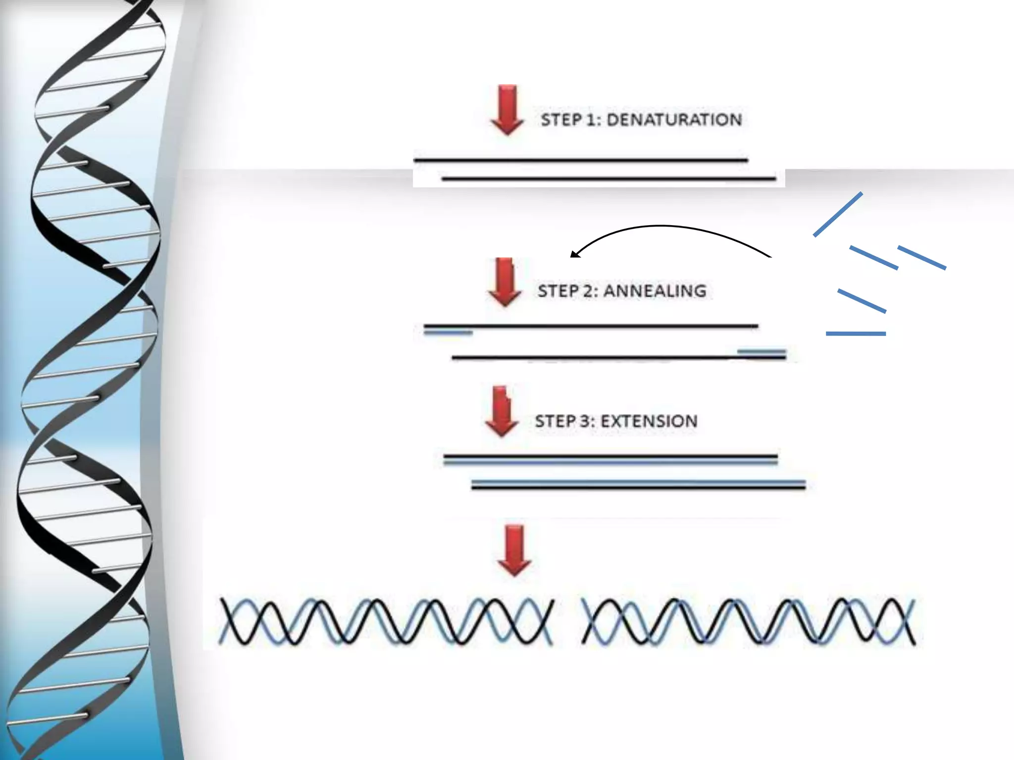 Genetic engineering principle, tools, techniques, types and application ...