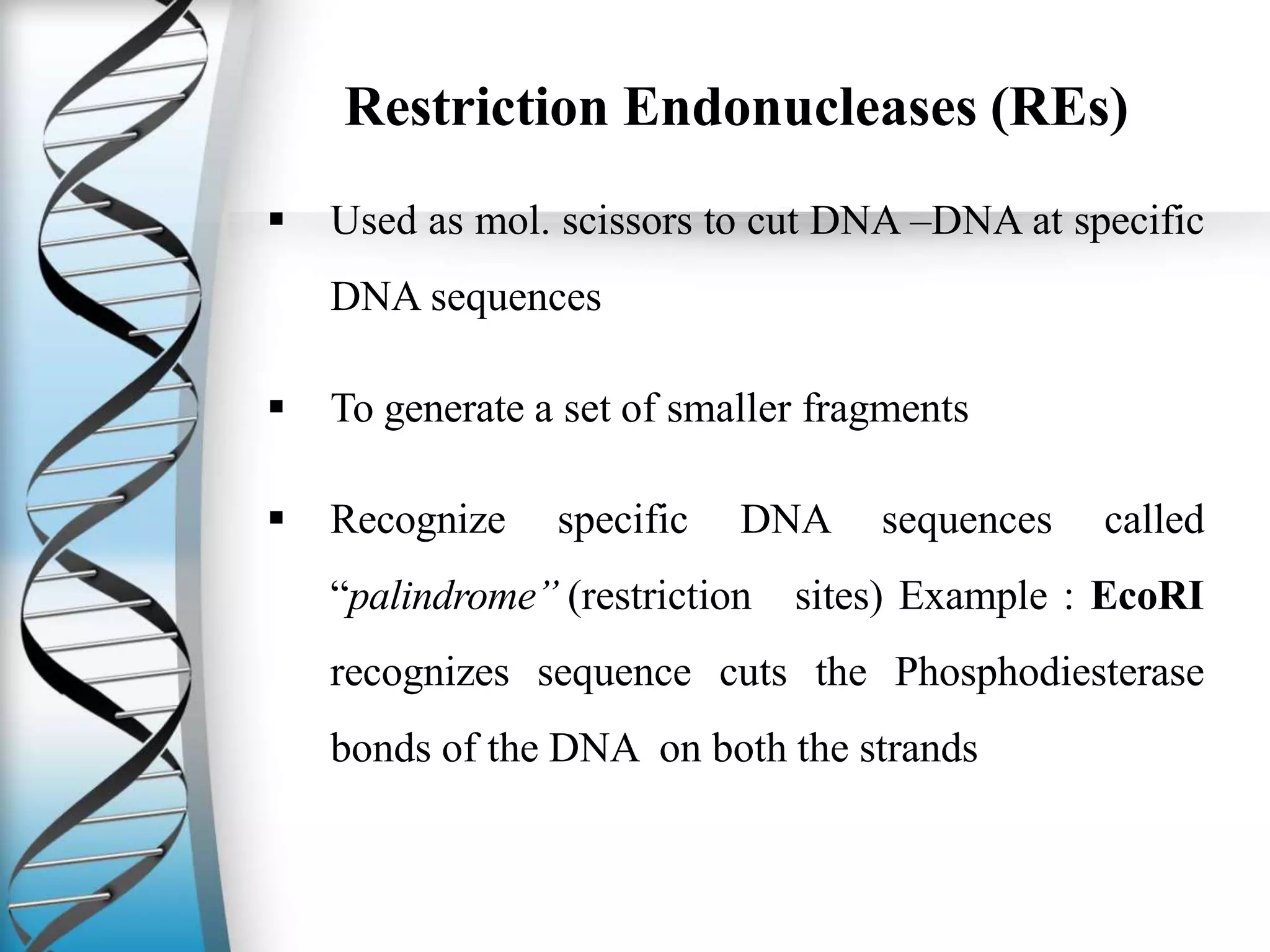 Genetic engineering principle, tools, techniques, types and application ...