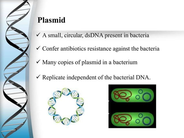 Genetic engineering principle, tools, techniques, types and application ...