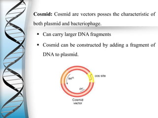 Genetic engineering principle, tools, techniques, types and application ...