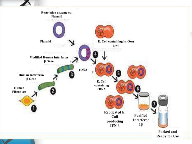 Genetic engineering principle, tools, techniques, types and application ...