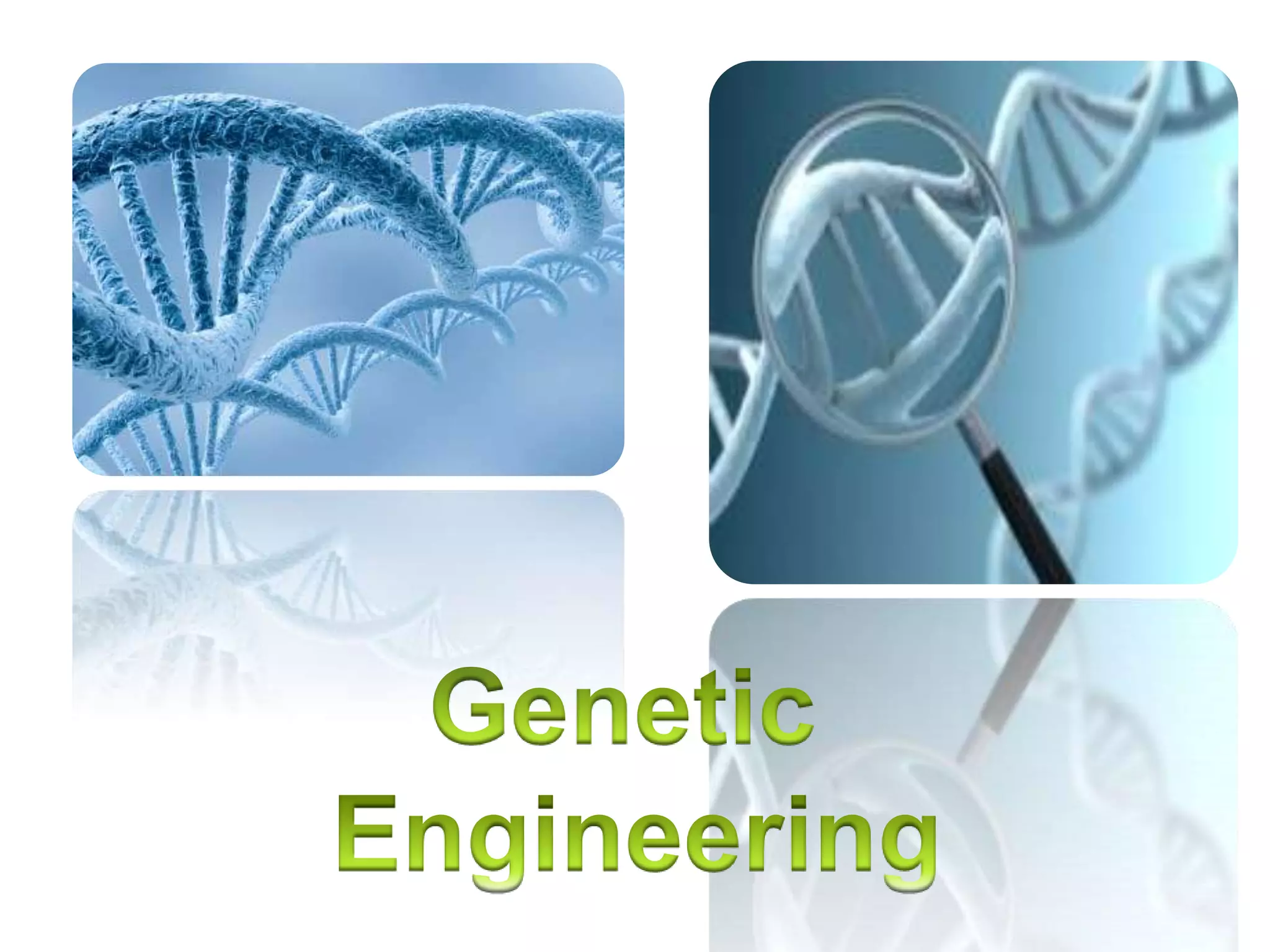 Genetic engineering project | PPTX