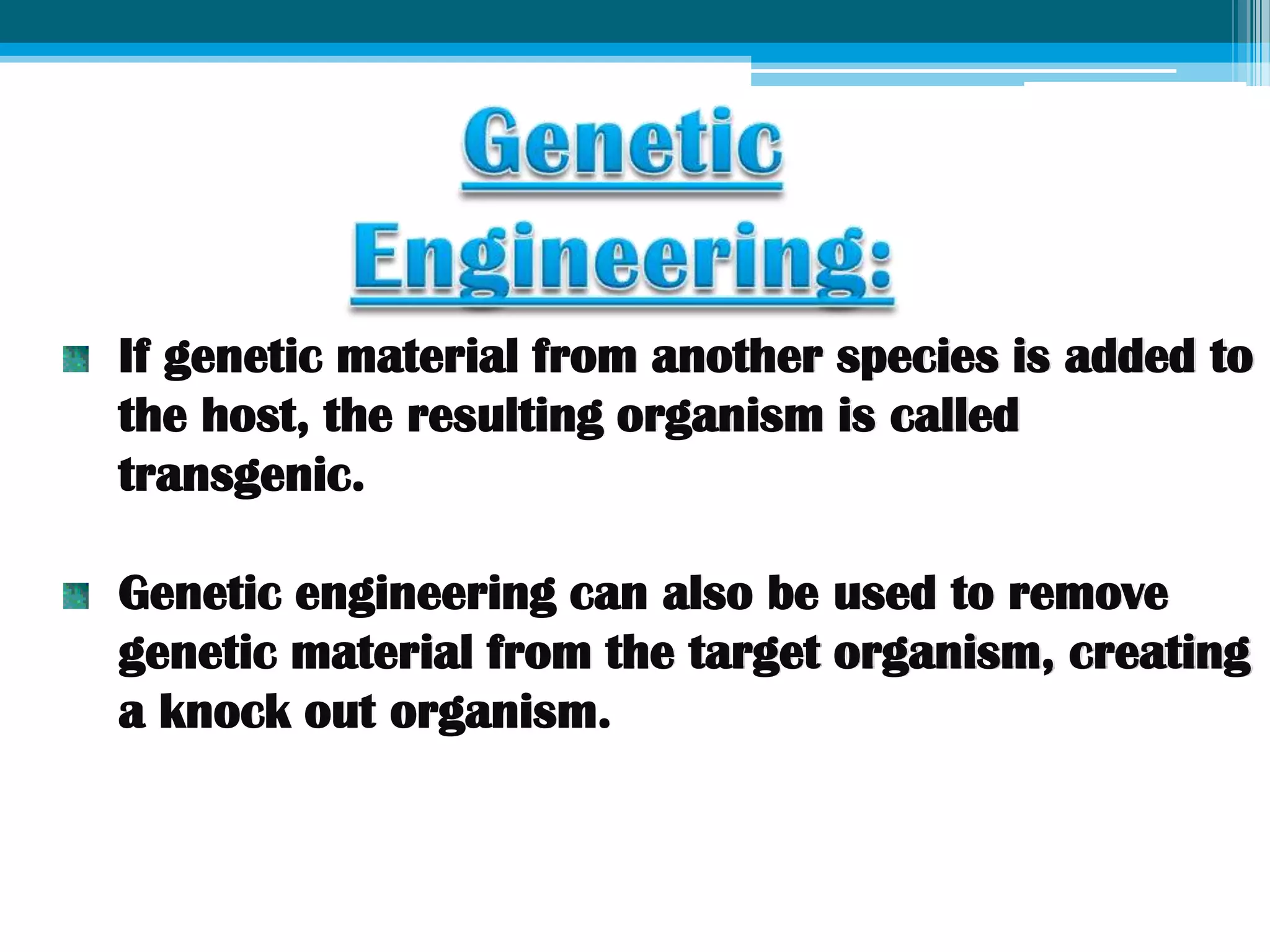 Genetic engineering project | PPTX