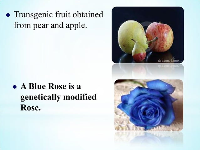 Genetic engineering project | PPTX