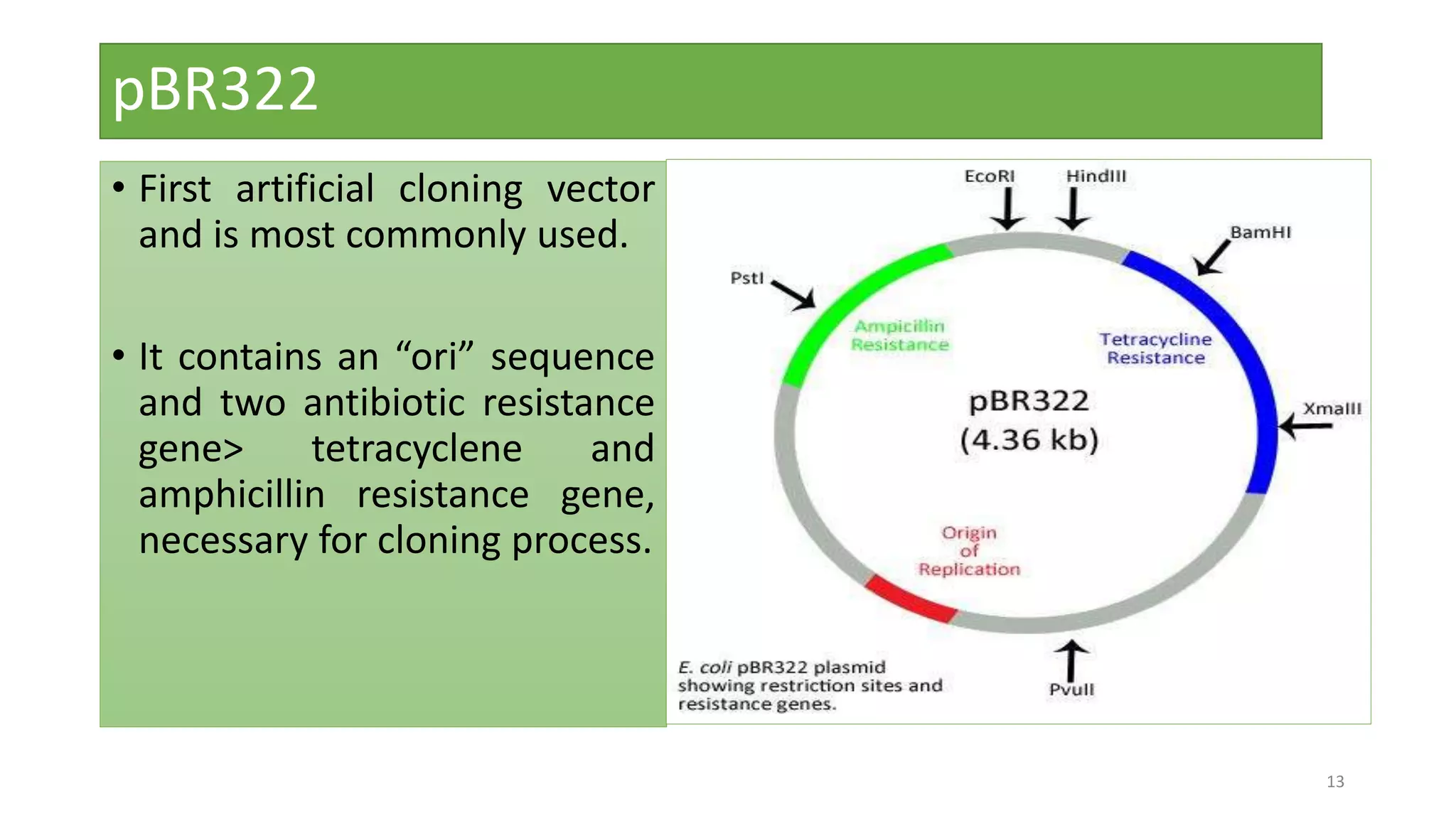 Genetic Engineering : Recombinant DNA Technology, vectors And Ti Plasmid | PPTX