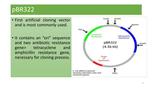 Genetic Engineering : Recombinant DNA Technology, vectors And Ti ...