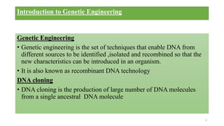 Genetic Engineering : Recombinant DNA Technology, vectors And Ti ...