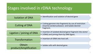 Genetic Engineering : Recombinant DNA Technology, vectors And Ti ...