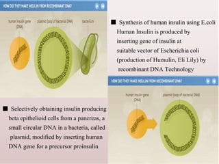 processing of recombinant proteins | PPTX