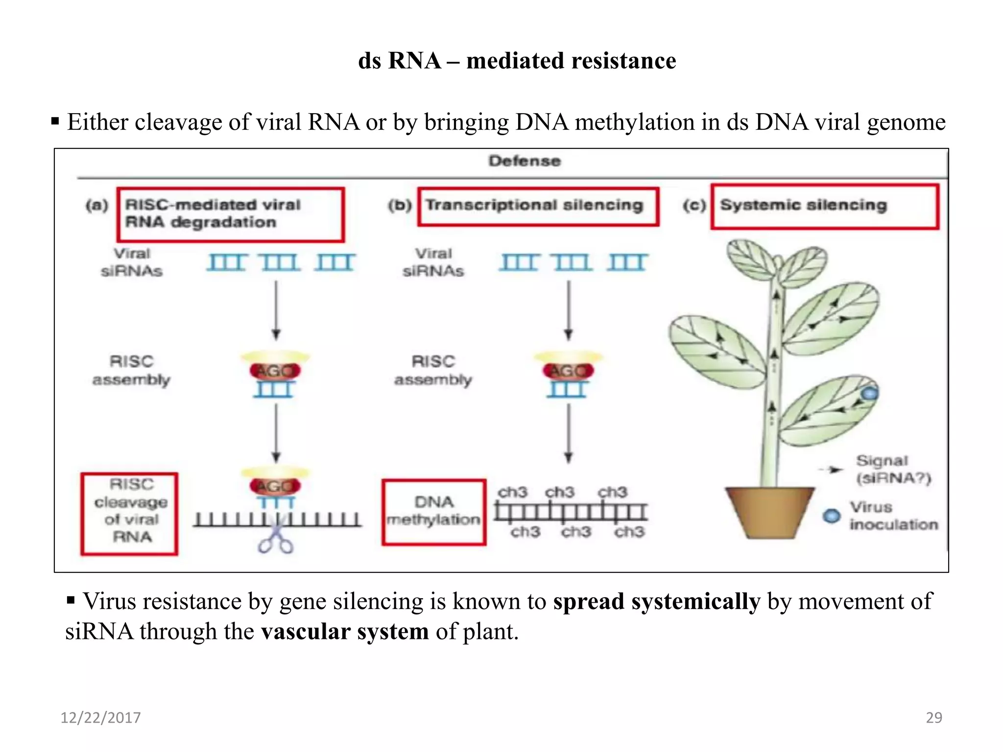 Genetic engineering strategies for biotic stress resistance in plants ...