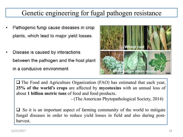 Genetic engineering strategies for biotic stress resistance in plants ...