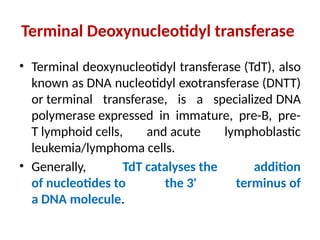 Genetic Engineering tools commonly used in Biotechnology.pptx