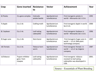Genetic engineering & transgenic breeding | PPTX