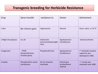 Genetic engineering & transgenic breeding | PPTX