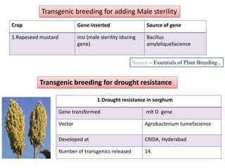Genetic engineering & transgenic breeding | PPTX | Biotech and ...