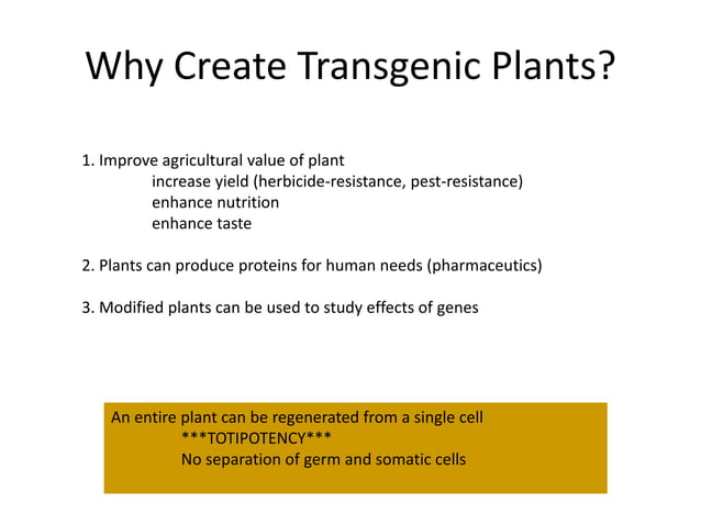 Genetic engineering & transgenic breeding | PPTX | Biotech and ...