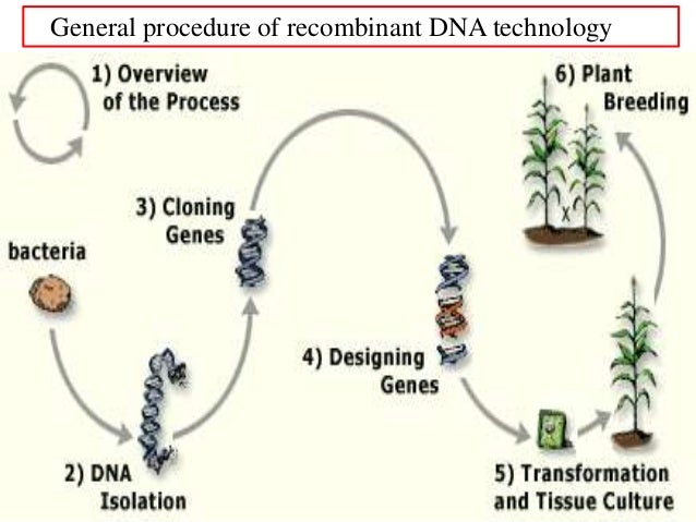 Genetic engineering & transgenic breeding