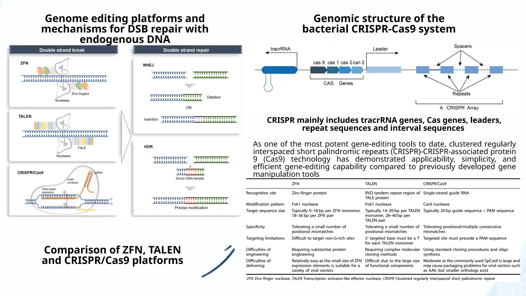 GENETIC ENGINEERING GENOME EDITING CRISPR/Cas9.pptx