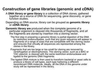 genetic_engineering__unit_3__lecture_1.ppt