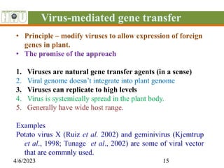 Genetic Engineering with Plant Viruses, M. Rafi.pptx
