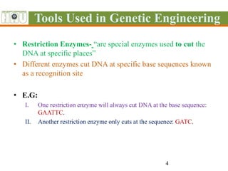 Genetic Engineering with Plant Viruses, M. Rafi.pptx