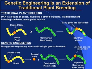 Genetic Engineering with Plant Viruses, M. Rafi.pptx