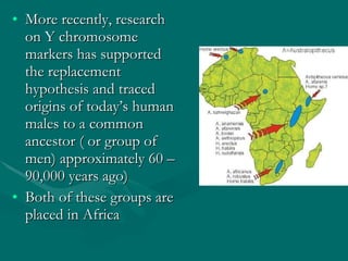 Genetic Evidence For Theories Of Human Dispersal | PPT