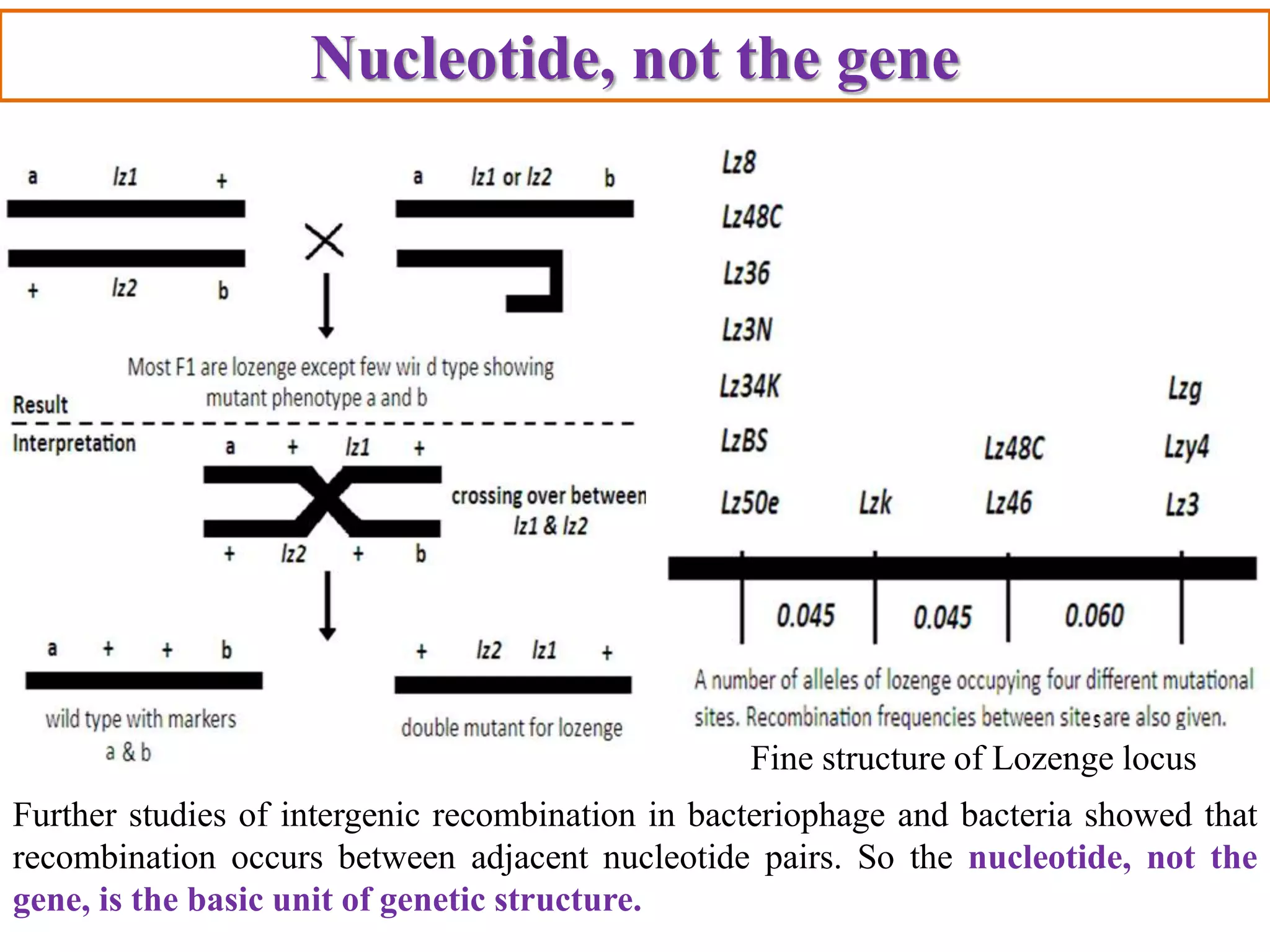 Genetic fine str. analysis & complementation | PPTX