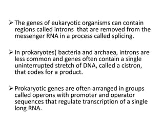 Genetic fine structure | PPTX