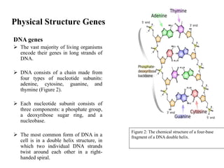 Genetic fine structure | PPTX