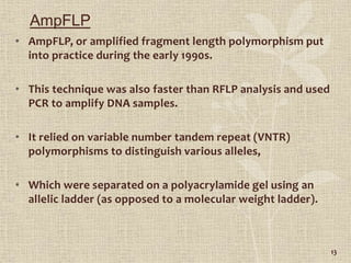 Genetic fingerprinting | PPTX