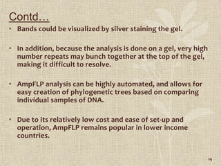 Genetic fingerprinting | PPTX