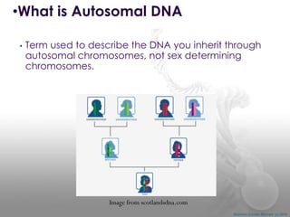 Genetic genealogy | PPTX