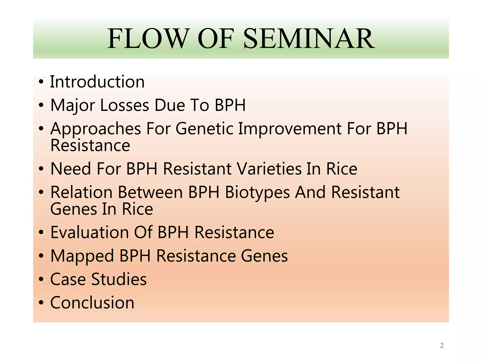 Genetic improvement for bph tolerance in rice | PPTX