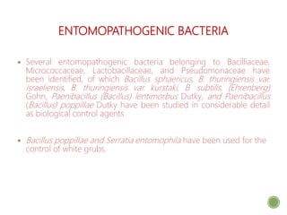 Genetic improvement of natural enemies | PPTX