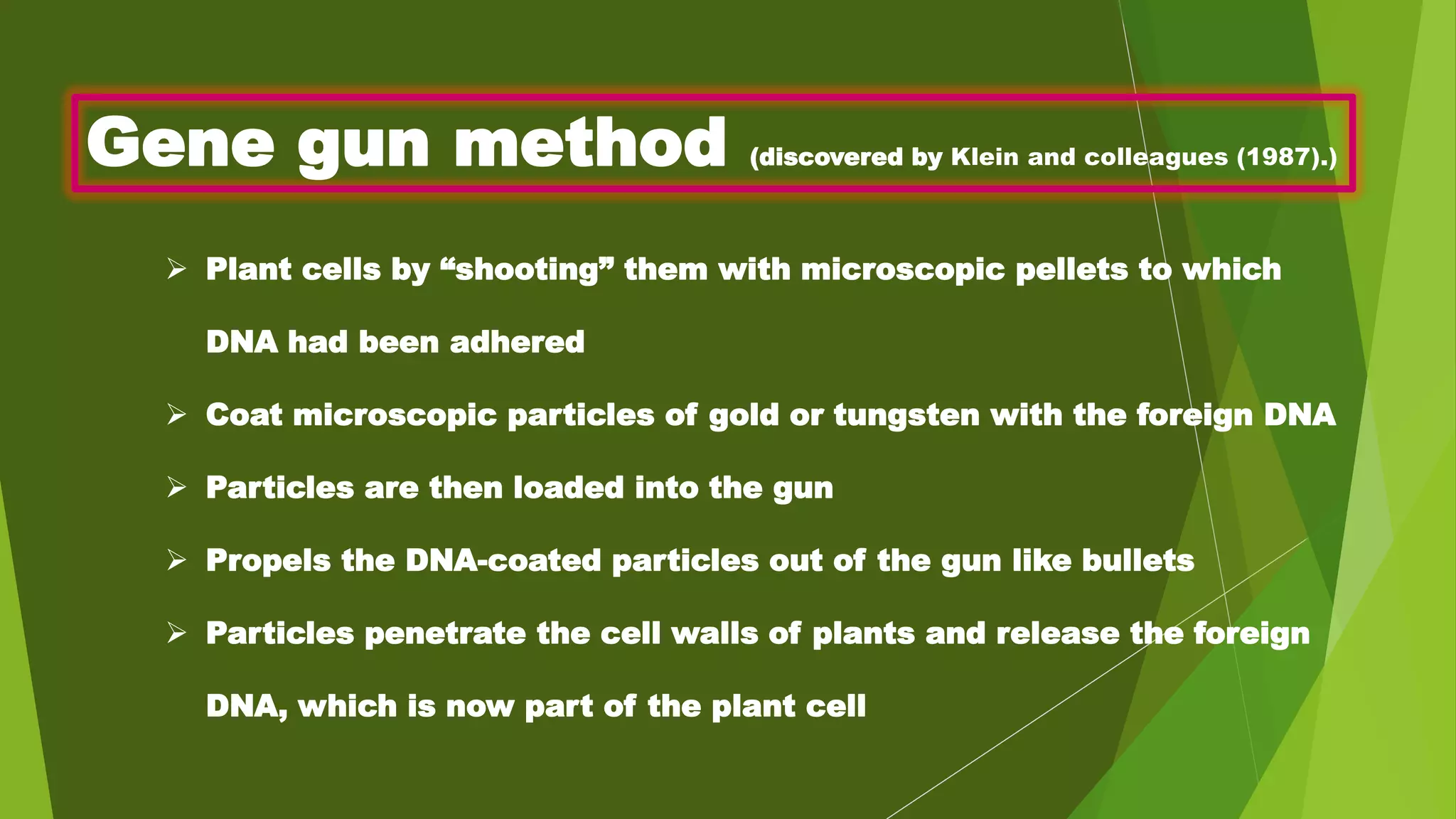 Genetic Improvement through Biotechnology in Cereal Crops | PPTX