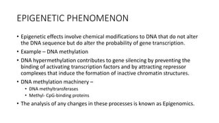 GENETIC IN DERMATOLOGY.pptx