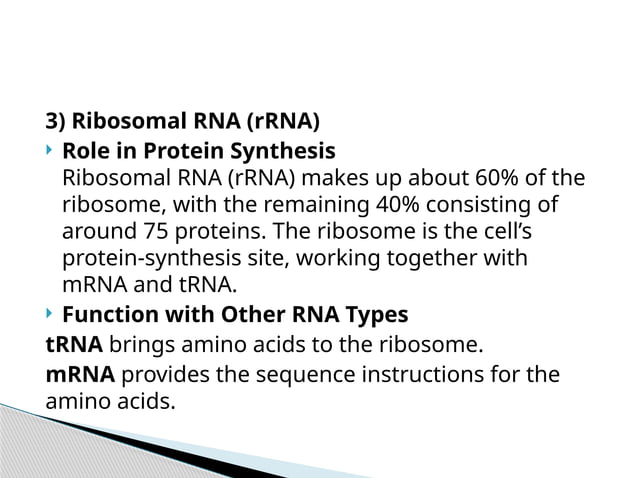 Genetic information and Protein Synthesis.pptx | Chemistry | Science