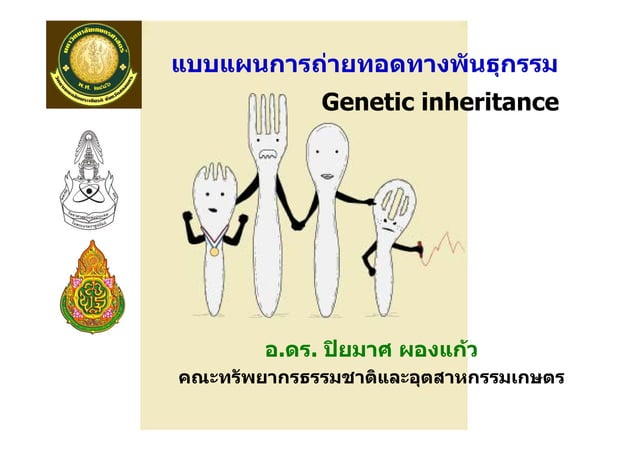 การถ่ายทอดทางพันธุกรรม Ppt