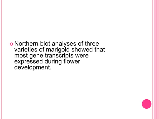 Genetic_inheritance_of_flower_colour.ppt | Flower Shopping | Shopping