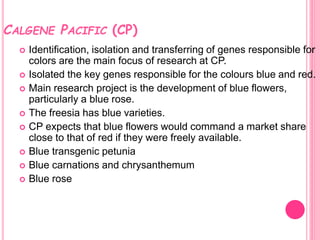 Genetic_inheritance_of_flower_colour.ppt