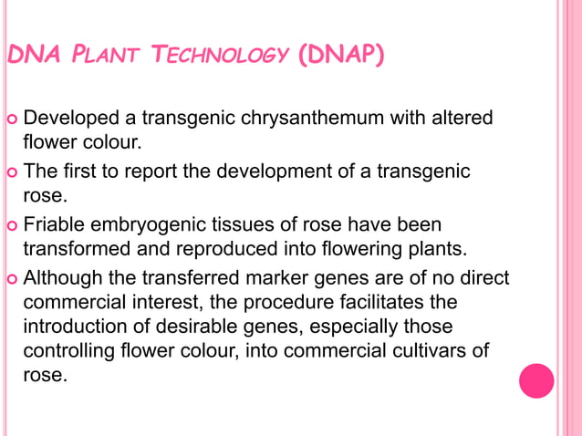 Genetic_inheritance_of_flower_colour.ppt | Flower Shopping | Shopping