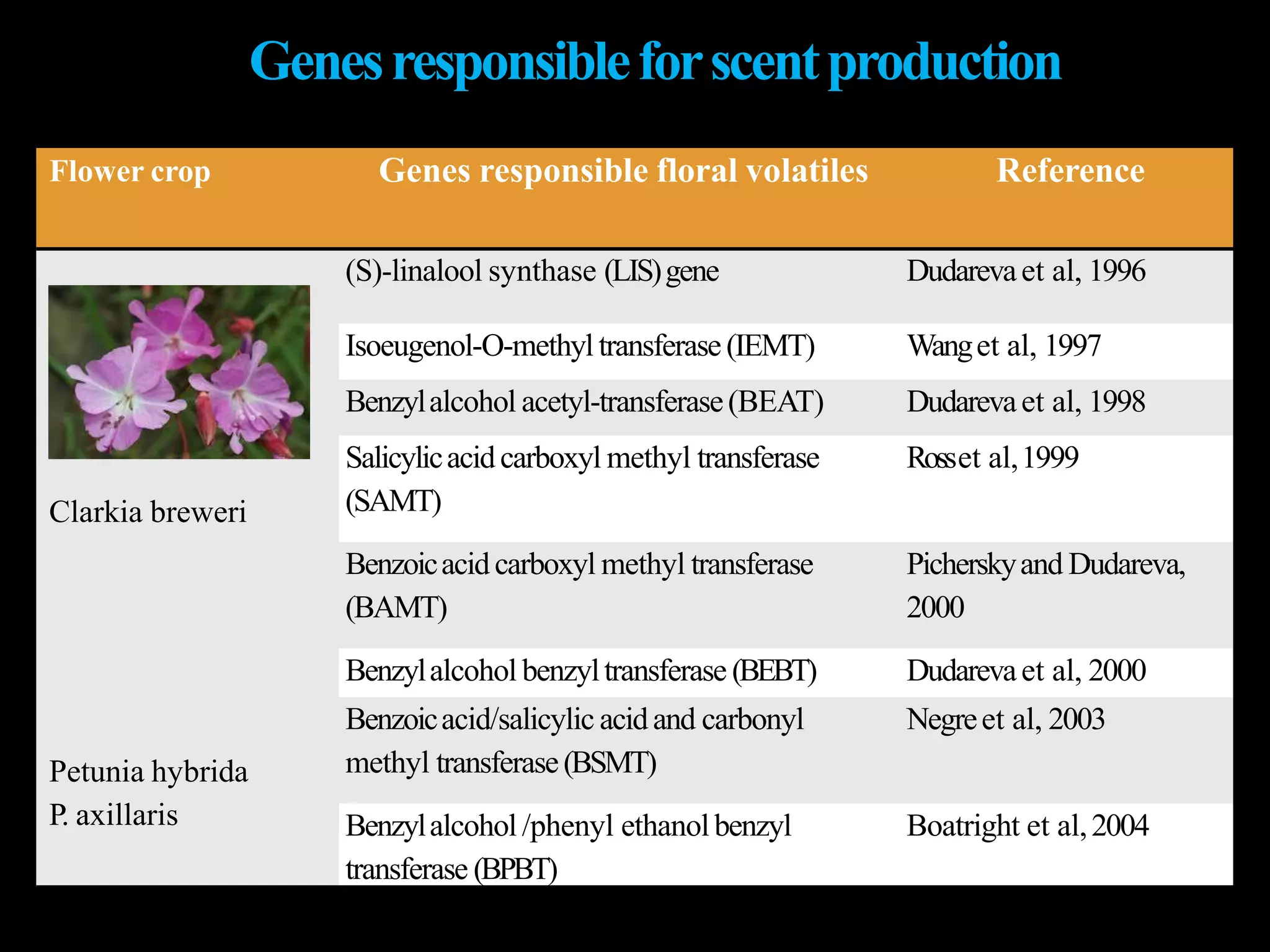 Genetic inheritance of flower doubleness and fragrance | PPTX ...