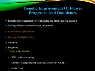 Genetic inheritance of flower doubleness and fragrance | PPTX