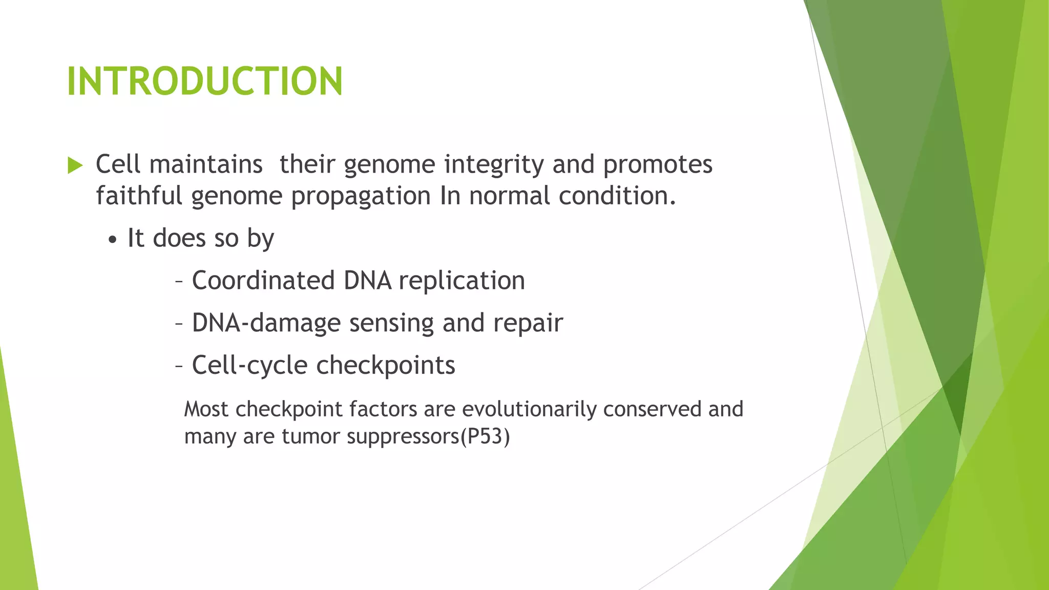 Genetic instability(One of the Hallmarks) and Treatment options | PPTX