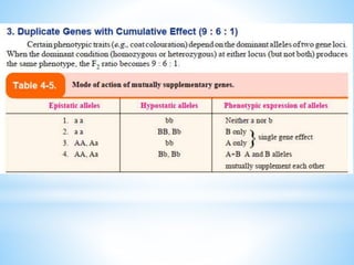 Genetic Interaction and Lethal Gene.pptx
