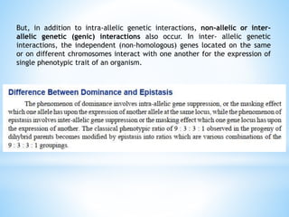 Genetic Interaction and Lethal Gene.pptx
