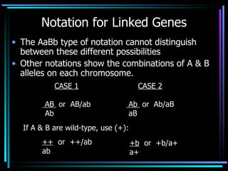 Genetic Linkage | PPT | Genetics | Science